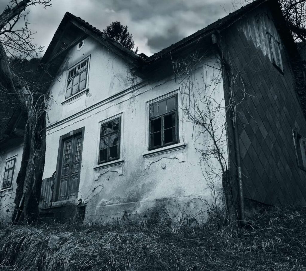 Horror Museum - India Seashell Museum